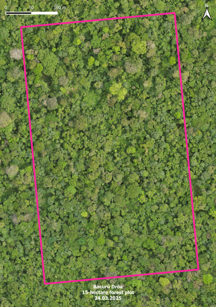 Bacurú Drõa Maps | ForestGEO