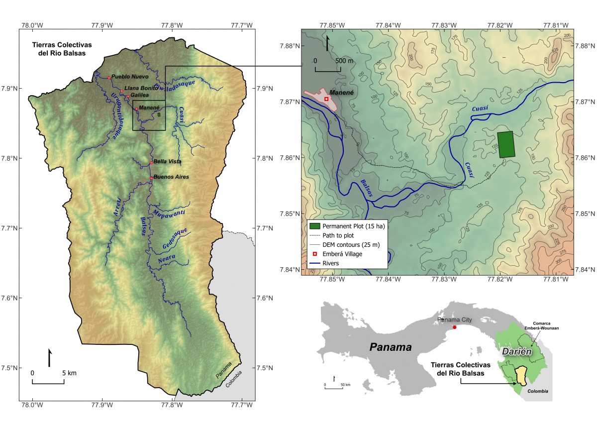 Bacurú Drõa Maps | ForestGEO